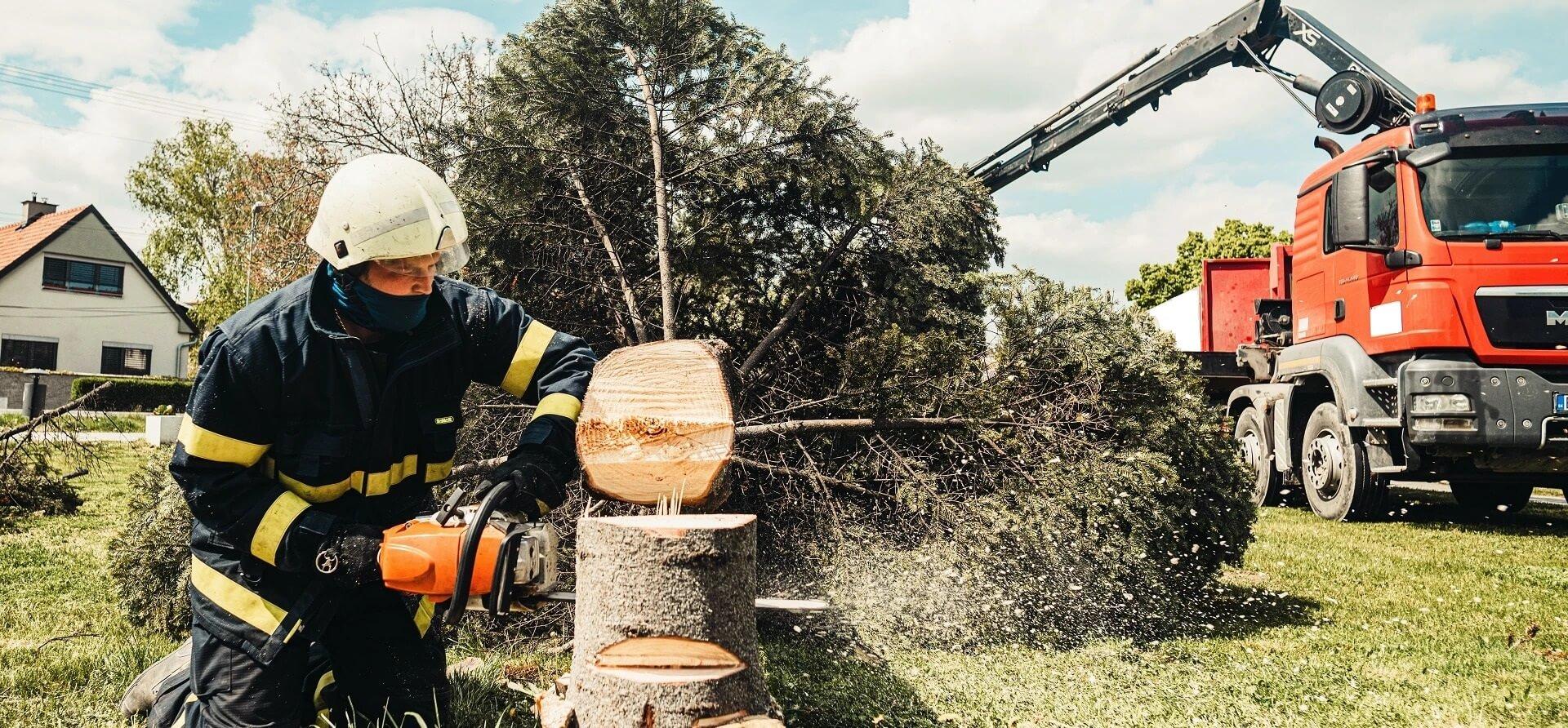 Landscaping & Tree Care Services | Newline Landscaping Dublin