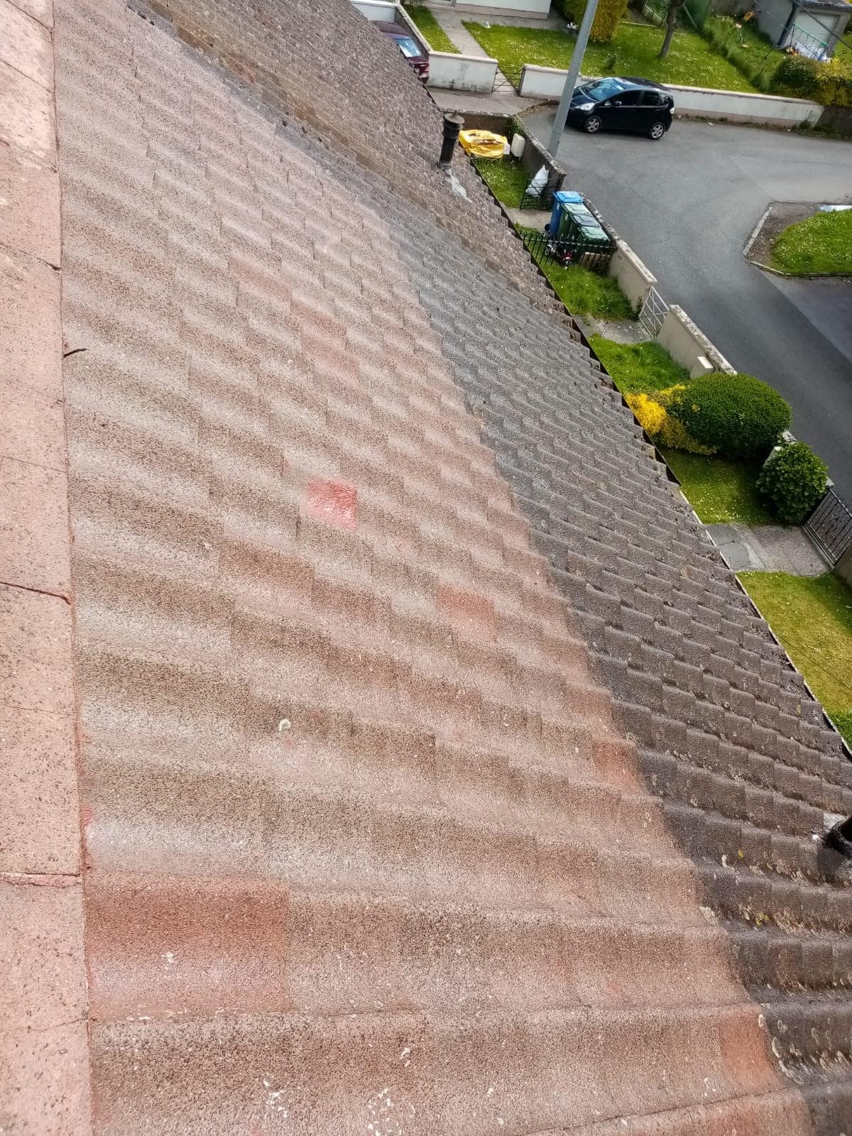 Roof & Gutter Cleaning South Dublin | Algae & Debris Tallaght