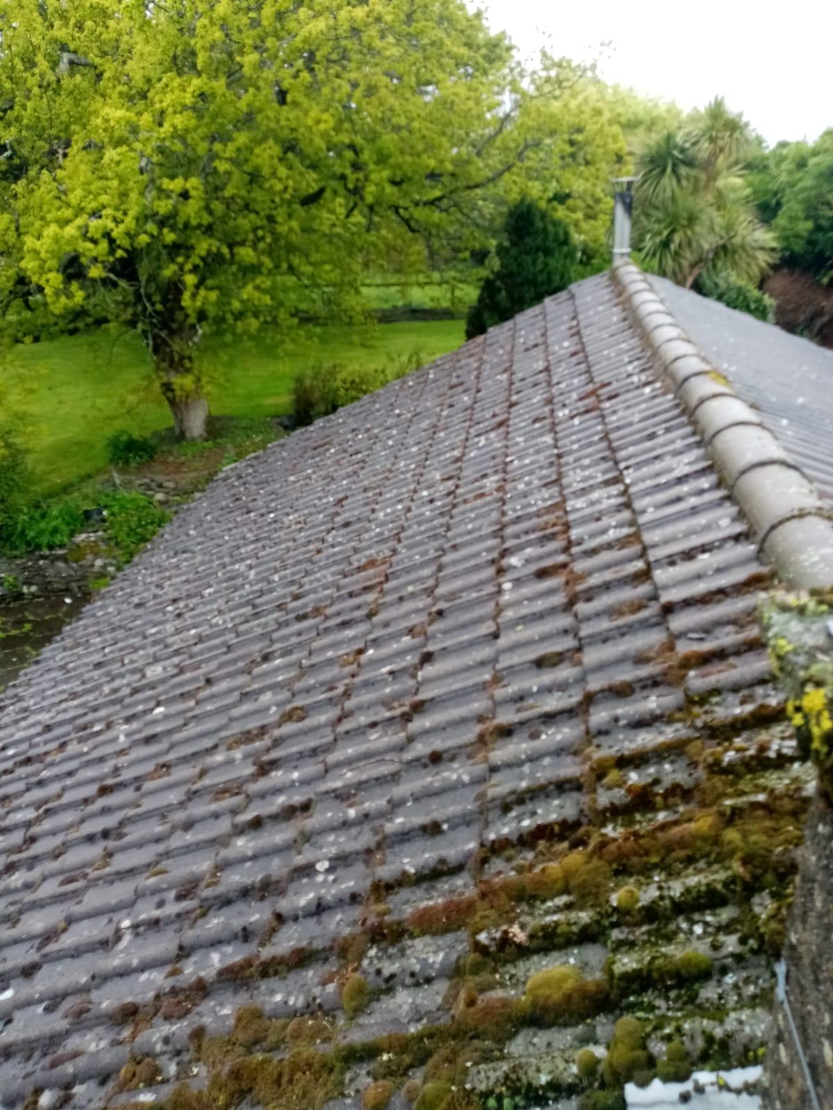 Roof & Gutter Cleaning South Dublin | Algae & Debris Tallaght